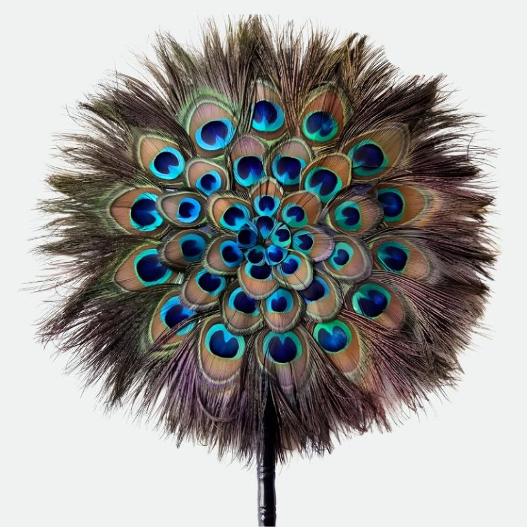 Plume De Paon | Eventail Boutique